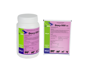 Doxy-500 WS | Tharnlar | Animal Health